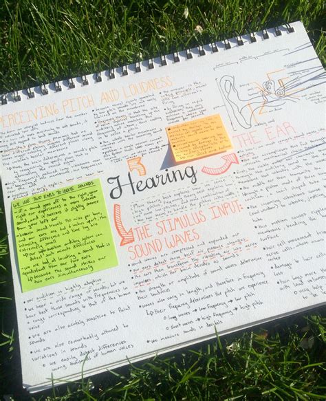 Image result for Spring and Spring Boot Mind Map