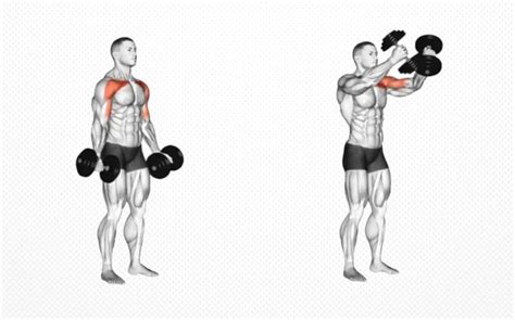 Image result for Standing Chest Fly Exercise