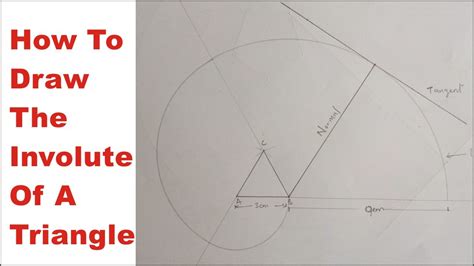 Image result for Involute of Triangle