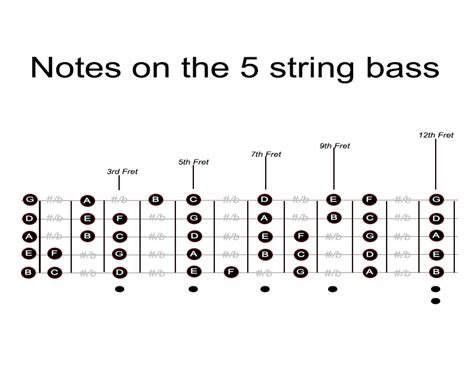Image result for Notes On a 5 String Bass