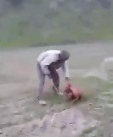 Image result for Beating Dogs Graphic