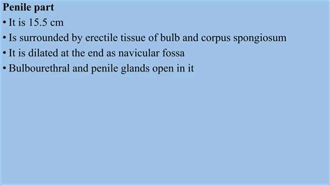 Image result for Rgu Retrograde Urethrogram