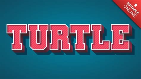 Image result for Turtle Write Text
