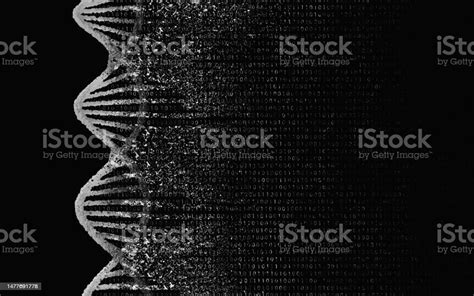 Image result for DNA Decoding