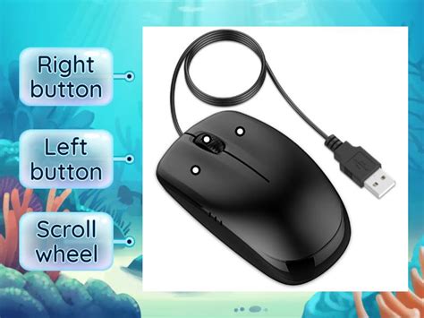 Image result for Computer Mouse Diagram