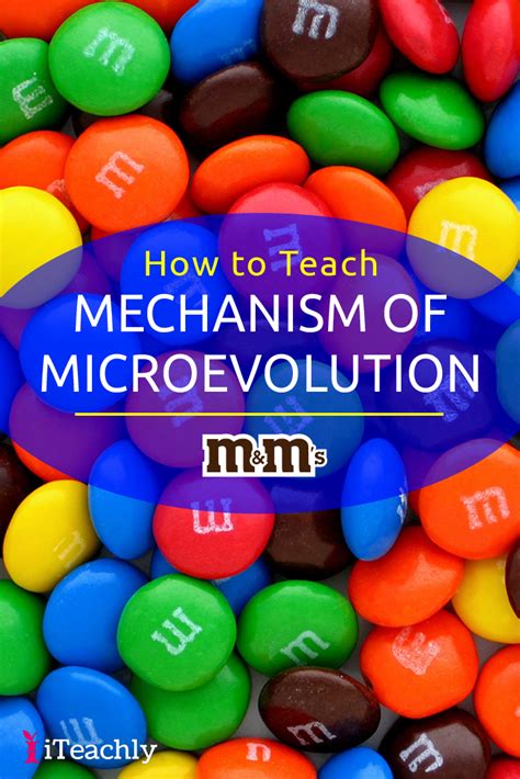 Mechanisms of Microevolution - M&M Lab - iTeachly.com