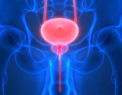 Image result for Cystourethrogram