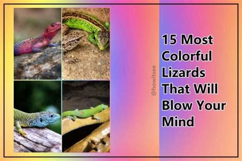 Image result for Different Color Lizards