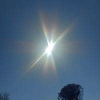 Image result for Cricket Insect Sound