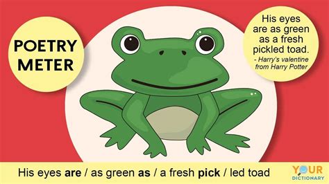 Image result for Meter Examples