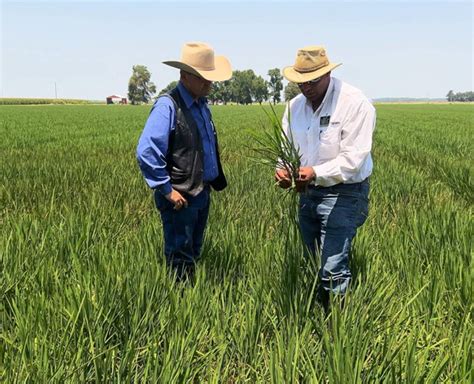 Image result for Conservation Stewardship Program