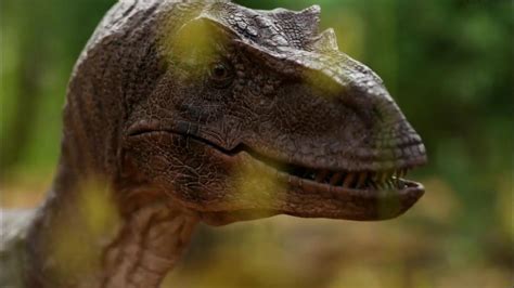 Image result for jTDS Life Science Evolution