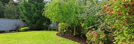 Image result for Weekend Landscaping Projects
