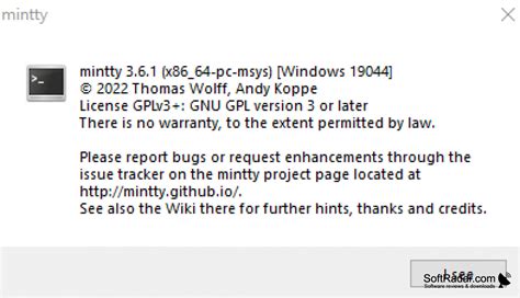 Image result for Msys2 Windows Package Manager