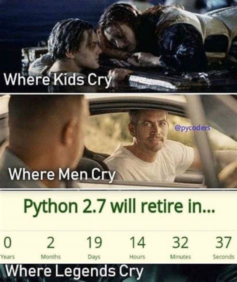 Image result for Sick Python Joke