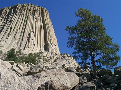 Image result for Devils Tower Tree Stump