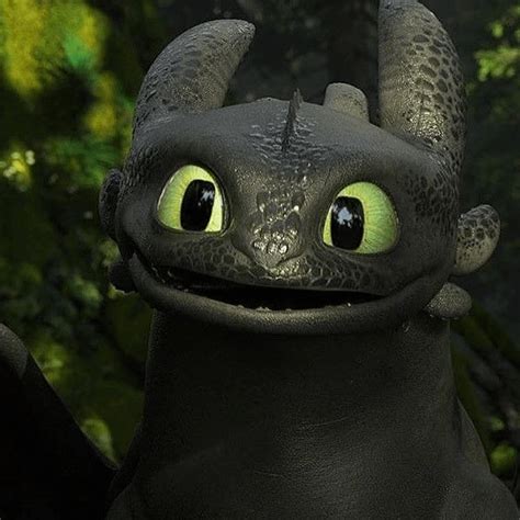 Image result for Toothless in Real Life