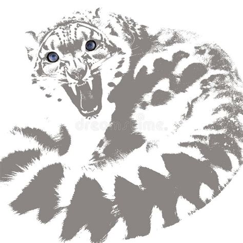 Image result for Snow Leopard Looking Forward