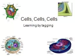 Image result for Learning Cells