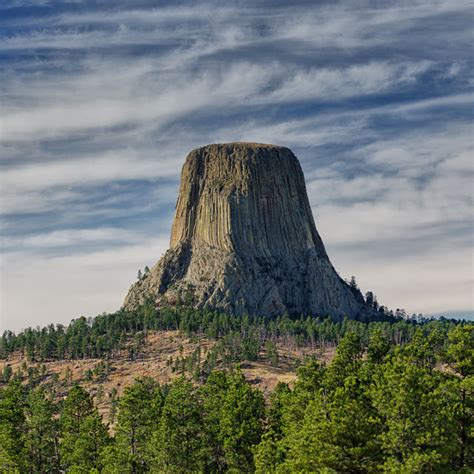 Image result for Devils Tower Tree Stump