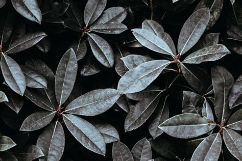 Image result for Rhythm Photography Examples