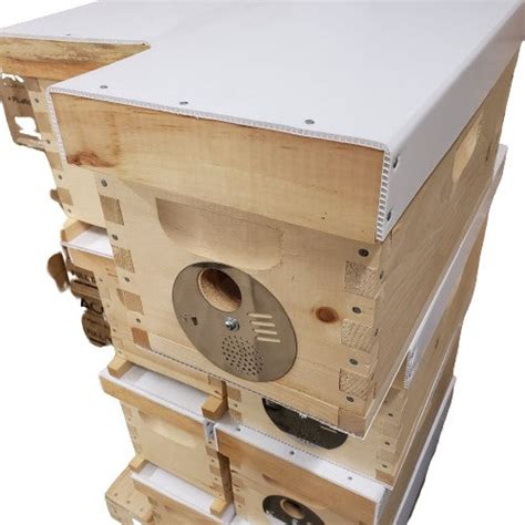 Image result for Five Frame Nuc Box