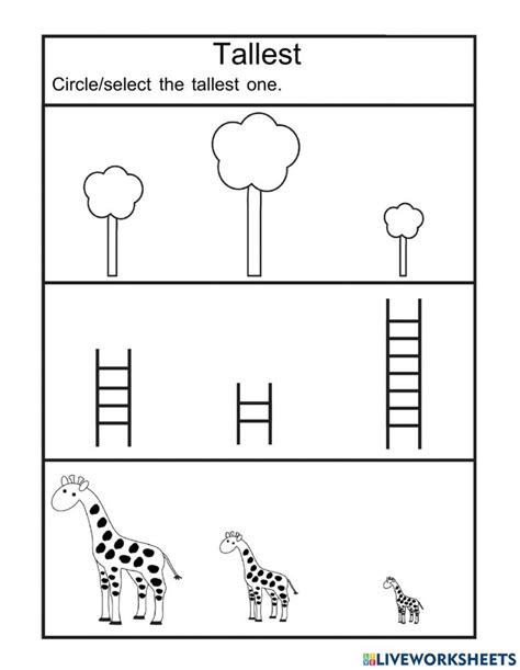 Image result for Tallest Interactive Worksheet