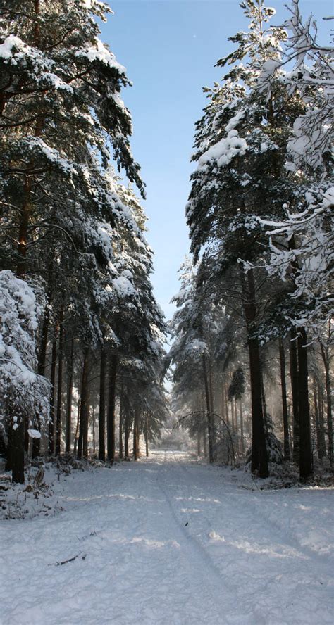 Image result for Snow Path Minecraft