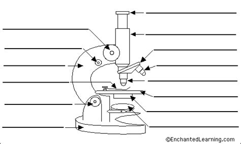 Image result for Microscope Label Diagram