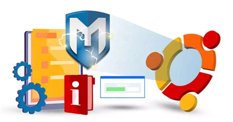 Image result for Metasploit OS