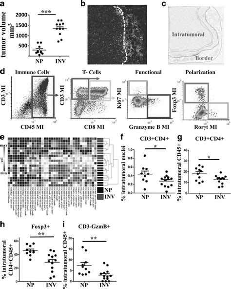 Image result for Tissue Microarray Multiplex IHC NCR