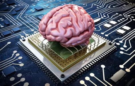 Image result for Computer Chip Brain