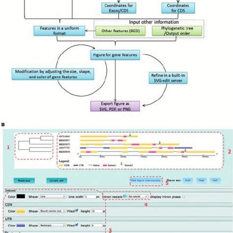 Image result for GDS2 Flow Chart