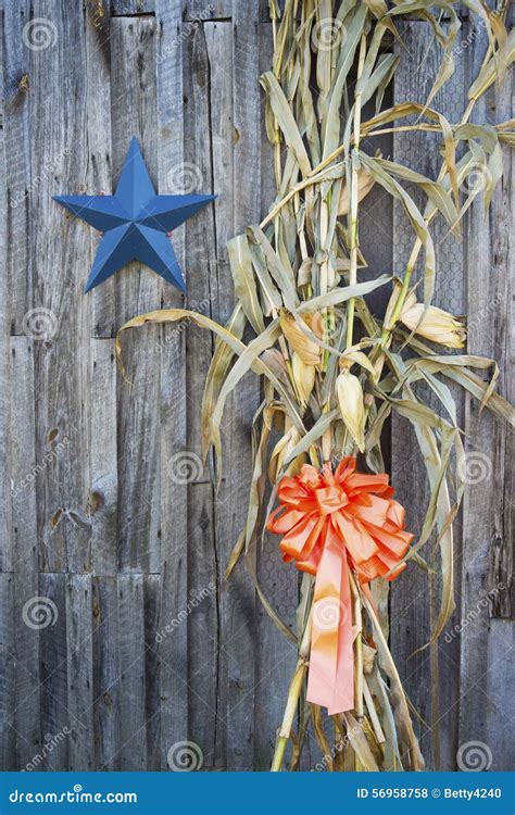 Image result for How to Display Corn Stalks