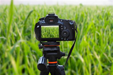 Image result for Field Sound Recording Cornwall