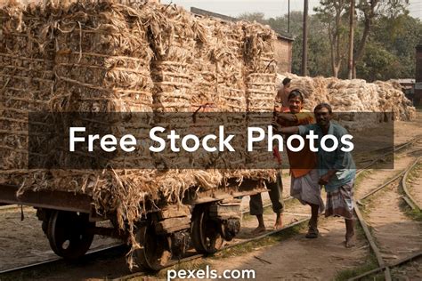 Image result for Jute Processing