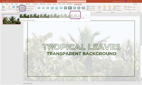 Image result for Set Transparent Color PowerPoint