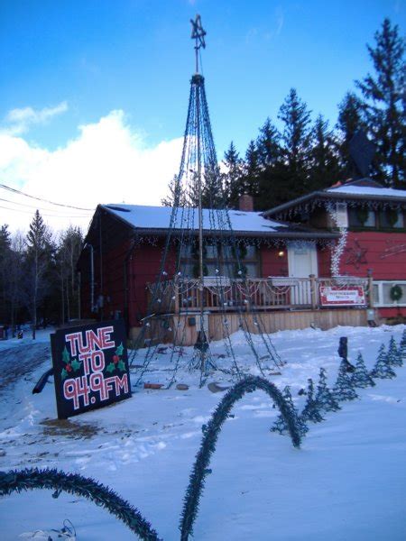 Image result for Mega Tree DIY