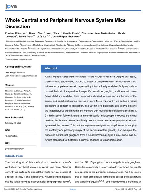 Image result for Mice Brain Dissection