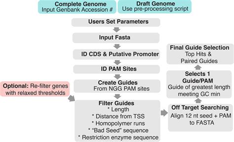Image result for Seper Fast Coding