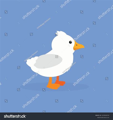 Image result for Duckling Front View