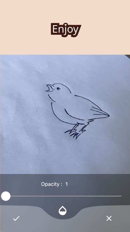 Image result for Translucent App