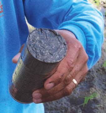 Image result for Single Core Sampler