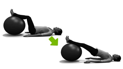 Image result for Exercise Ball Lower Back Exercises