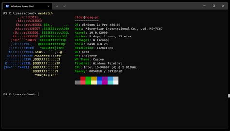 Image result for Windows Server Neofetch
