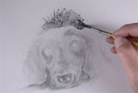 Image result for Drawing with Powdered Graphite