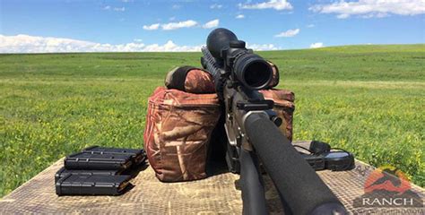 Image result for Prairie Dog Hunting Tips