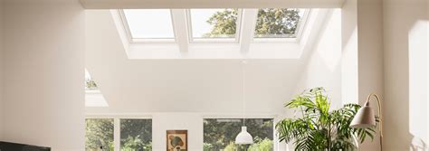 Image result for Extension Project