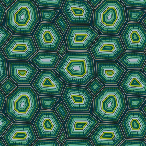 Image result for Turtle Shell Pattern