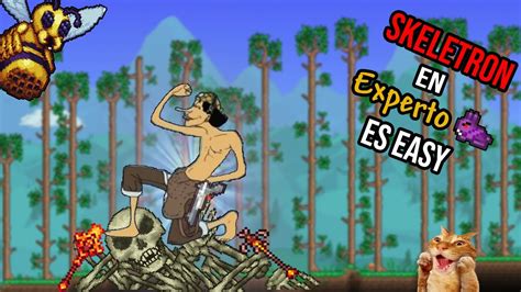 Image result for Esqueletron Tutorial